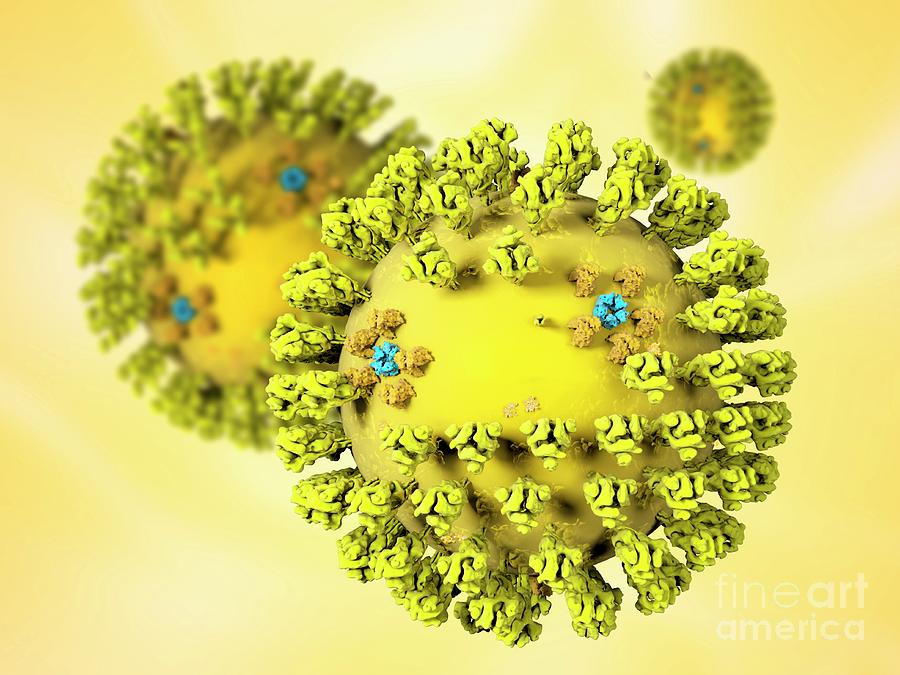 Sars Virus Particles Photograph by Ramon Andrade 3dciencia/science Photo Library - Pixels