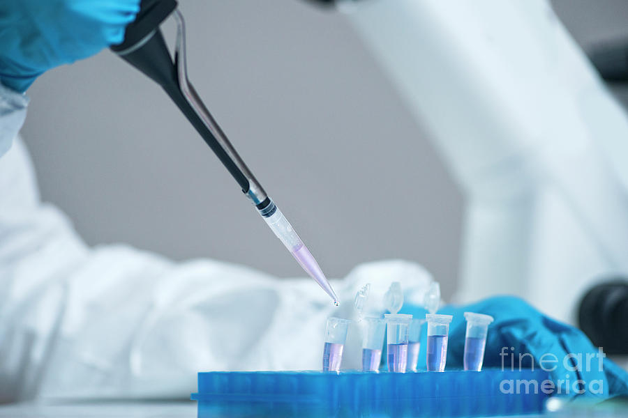 Scientist Pipetting Sample Photograph by Microgen Images/science Photo ...