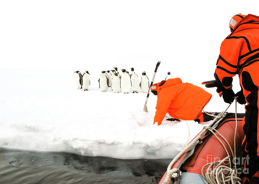Scientists Approaching A Group Of Emperor Penguins by Science Photo Library