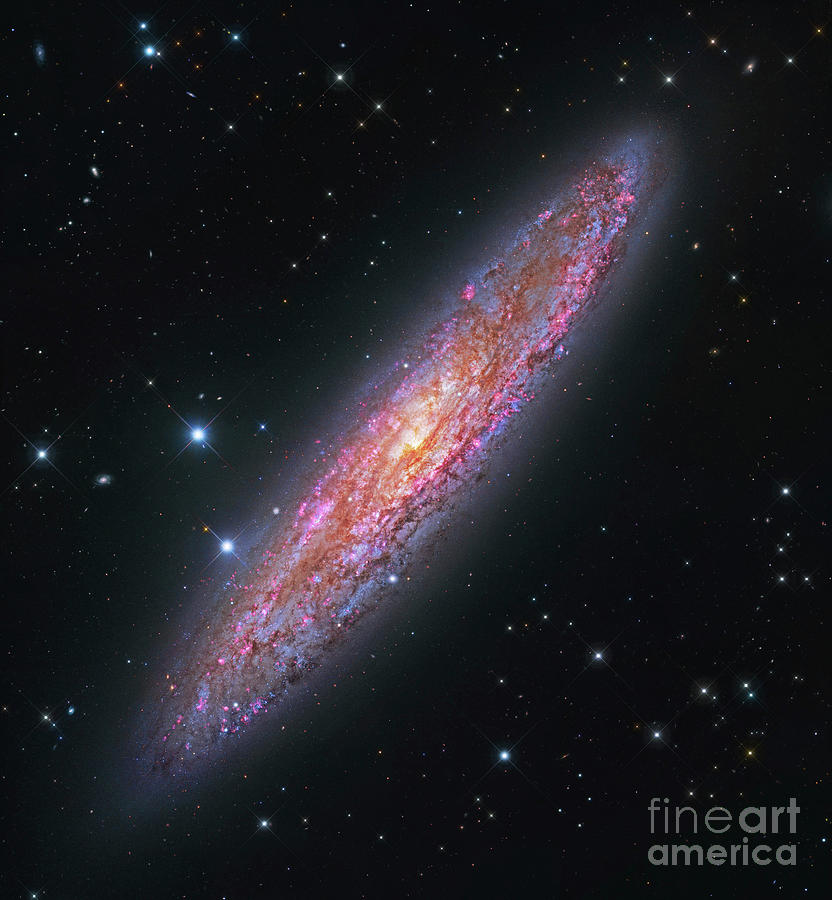 Sculptor Galaxy Photograph by Robert Gendler/science Photo Library - Fine Art America