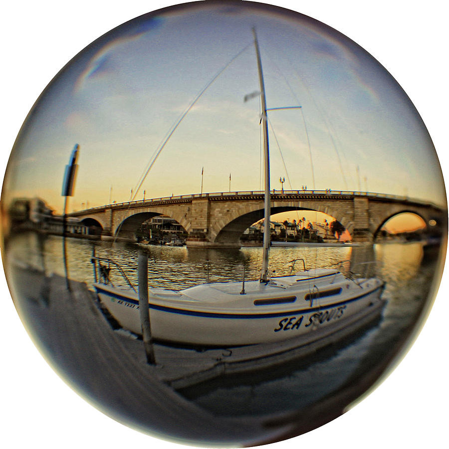 Sea Scouts Photograph by Fred Hahn - Fine Art America