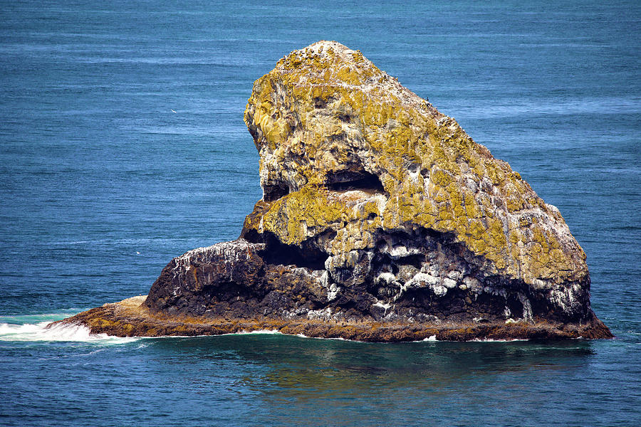 Sea Stack Photograph by Mitch Cat | Fine Art America