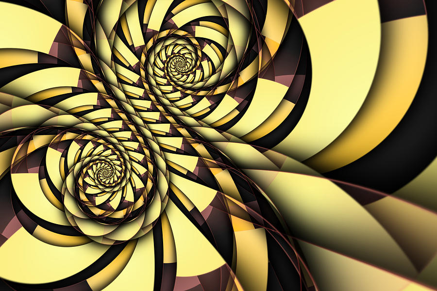 Seahorse Digital Art by Erwin De Groot - Fine Art America