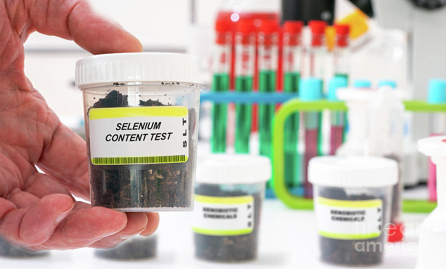 Selenium Content Test In A Soil Sample Photograph by Science Photo ...