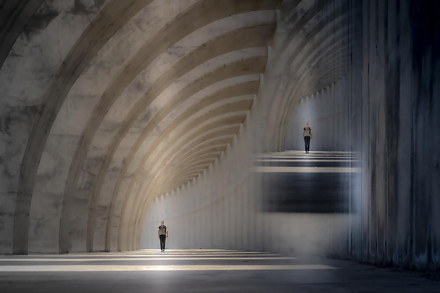 Self Reflection Photograph by Andy Dauer - Fine Art America