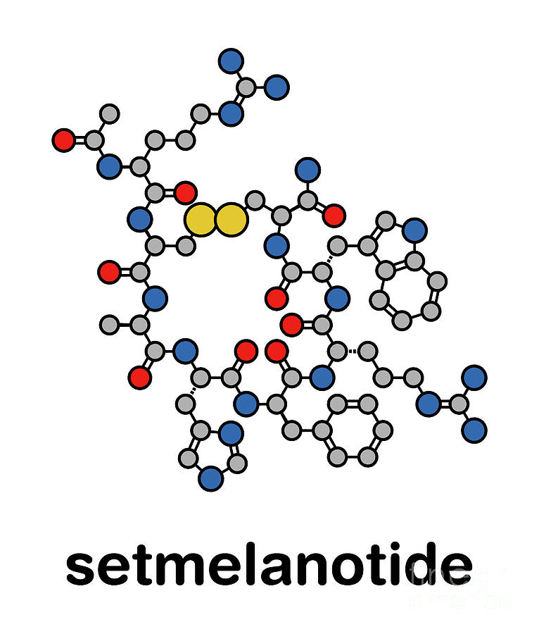 Setmelanotide Drug Molecule Photograph by Science Photo Library ...