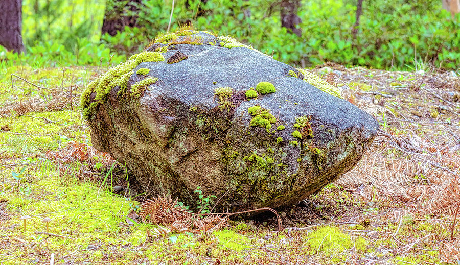 Sex Stone Photograph By Timothy Anable Fine Art America