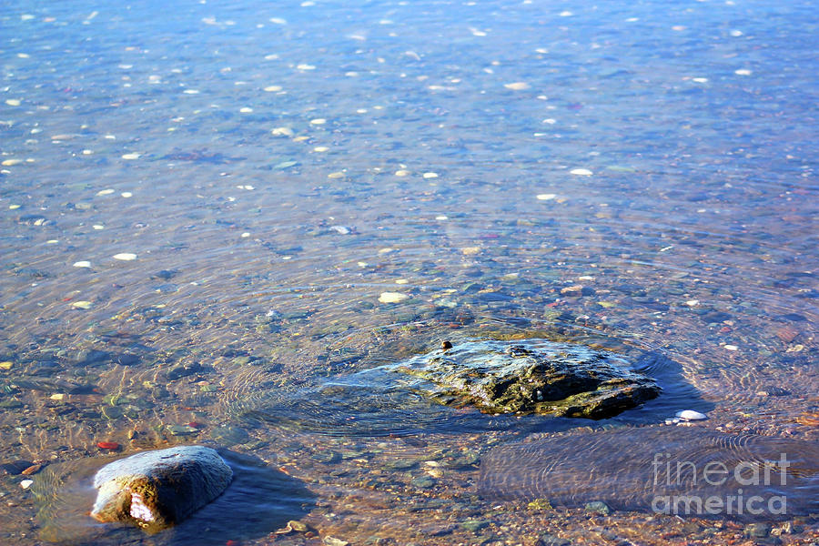 Shallow Water Photograph by Patti Whitten