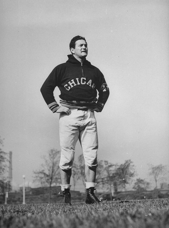 Sid Luckman Photograph by William Shrout - Fine Art America