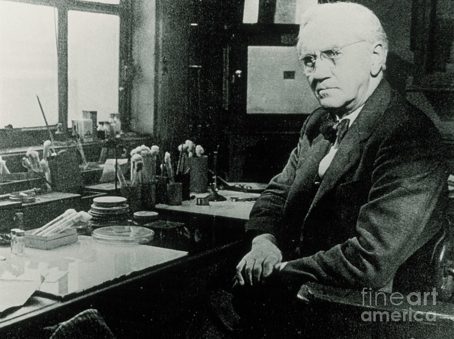 Sir Alexander Fleming In His Lab. Photograph by Science Photo Library ...