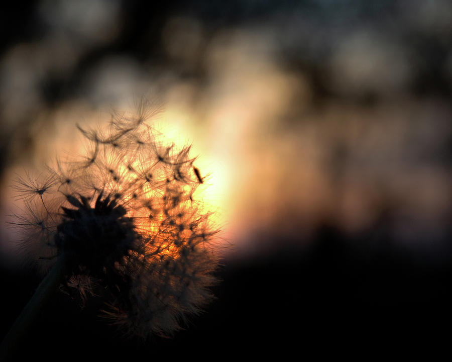 Sky4 Photograph by Michelle Davis | Fine Art America