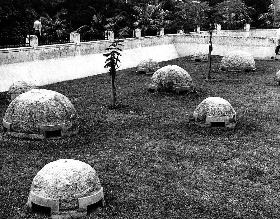 Snake Farm by John Phillips