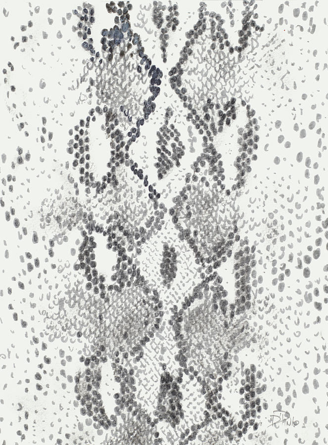 Snake Skin Mixed Media by Patricia Pinto - Fine Art America