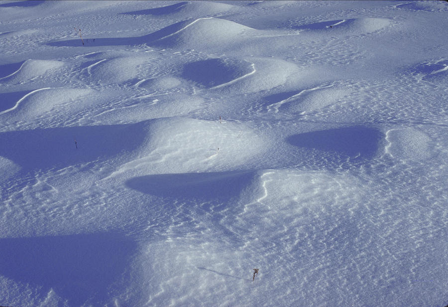 Snow patterns Photograph by Winston Fraser - Fine Art America