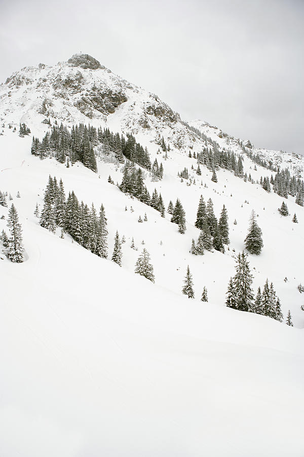 Snowy Mountains Digital Art by Carlos Hernandez | Fine Art America