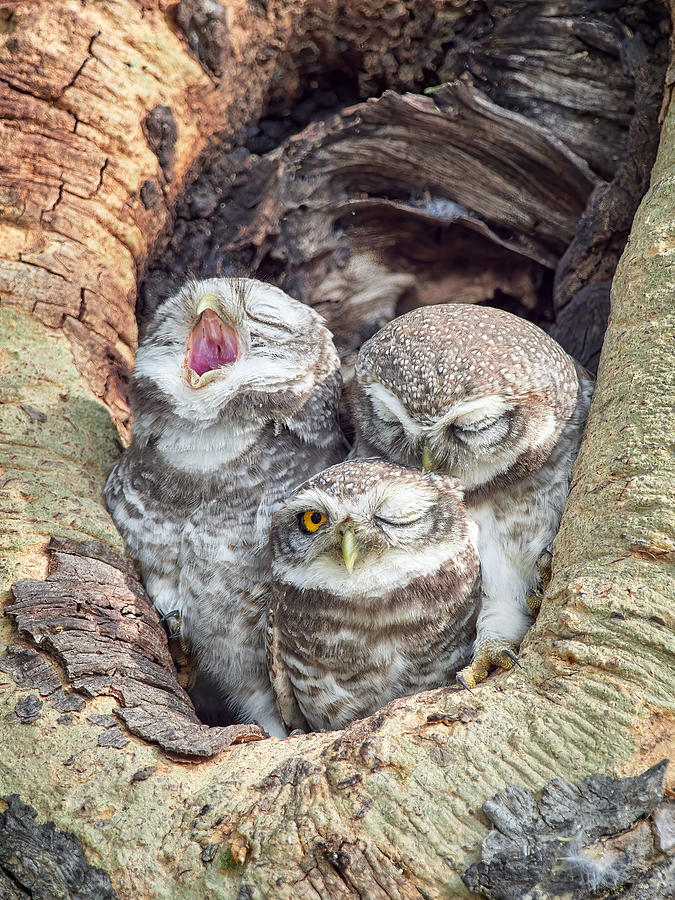 So Boring! Photograph by Martin Groth - Fine Art America