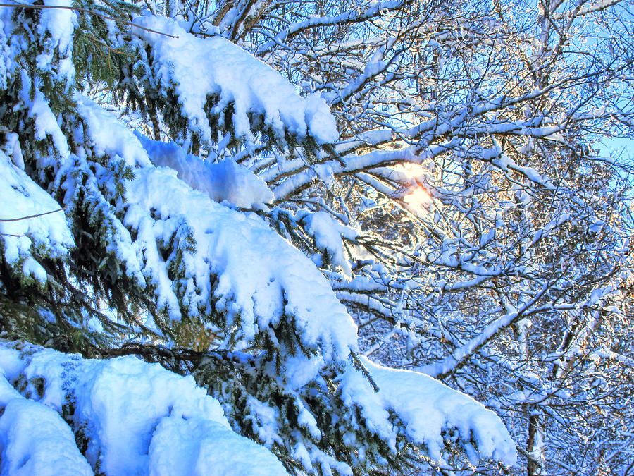 So much snow Photograph by Andreas Thust - Pixels