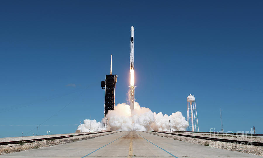 Spacex Crew 5 Launch By Nasa Joel Kowsky Science Photo Library