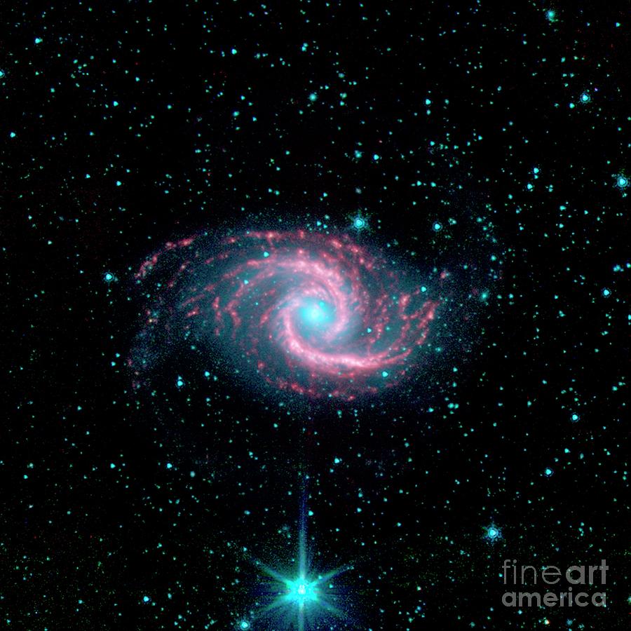 Spiral Galaxy Ngc 1566 Photograph by Jpl-caltech/r. Kennicutt (university Of Arizona)/sings Team ...