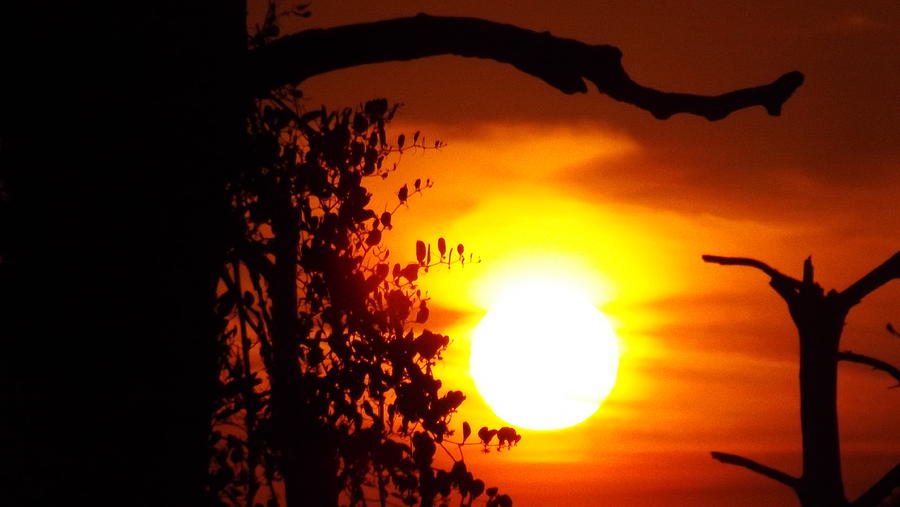 Split Sun Photograph by Guy Cusimano - Pixels