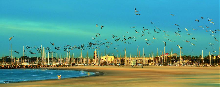 Spring Beach Scene Photograph by John R Williams - Fine Art America