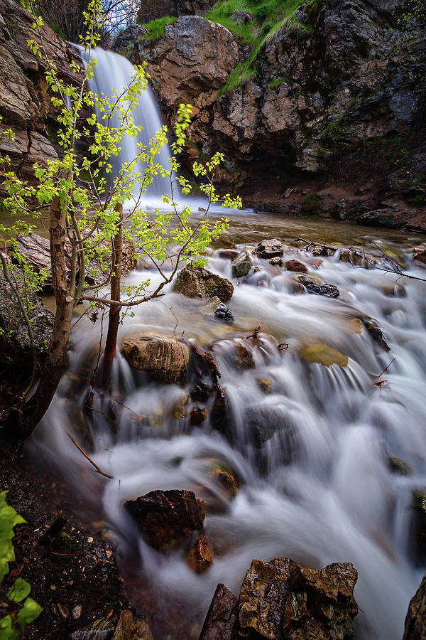 Spring flow Photograph by Gina Gardner - Fine Art America