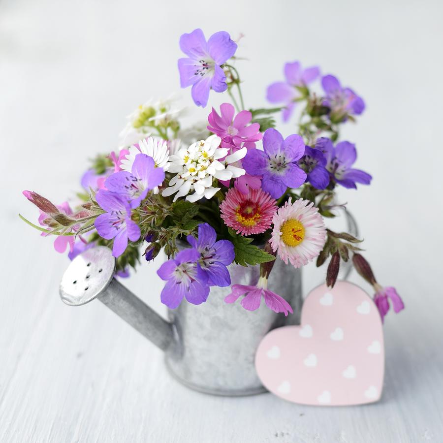 Spring Posy Photograph by Sonia Chatelain - Fine Art America