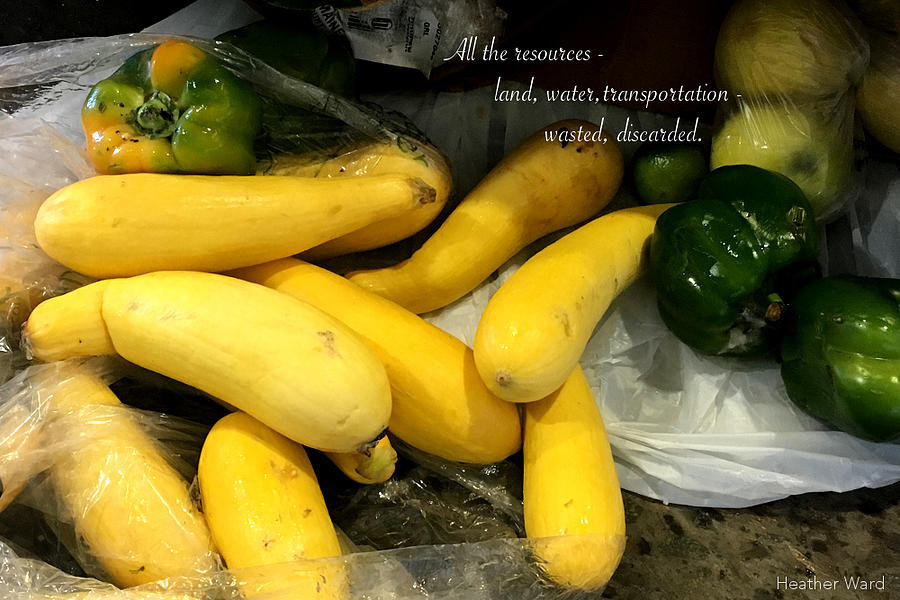 Squashed Digital Art by Heather Ward - Fine Art America