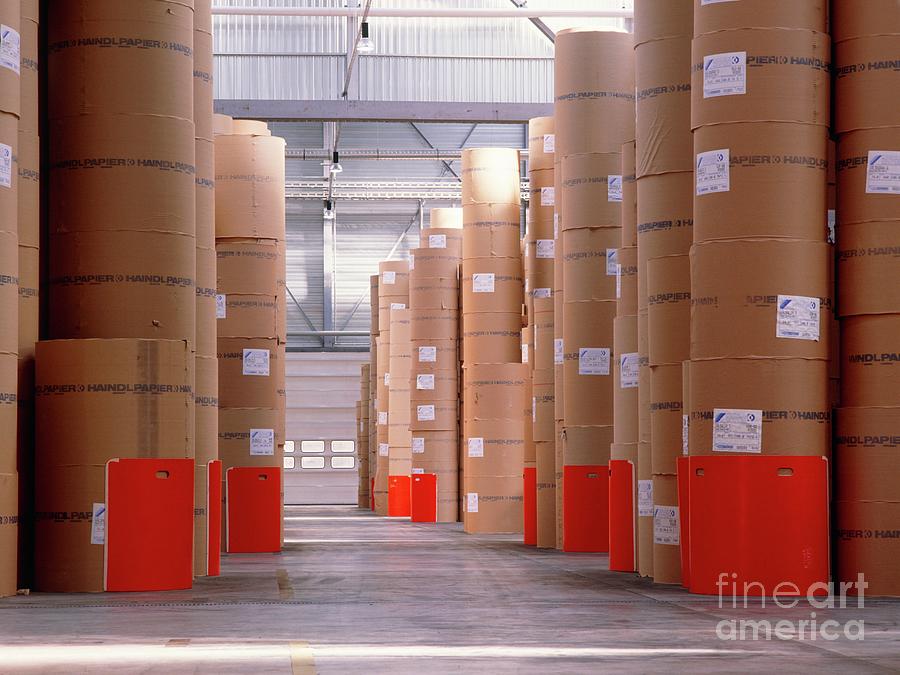 Stacks Of Manufactured Paper Reels In A Warehouse. Photograph by ...