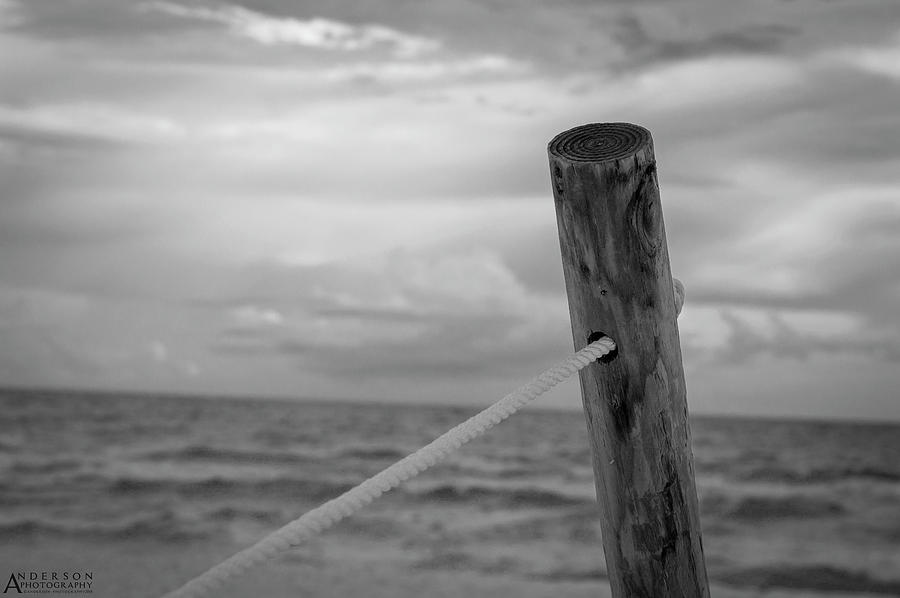 Standing Post Photograph by Robert Anderson - Fine Art America