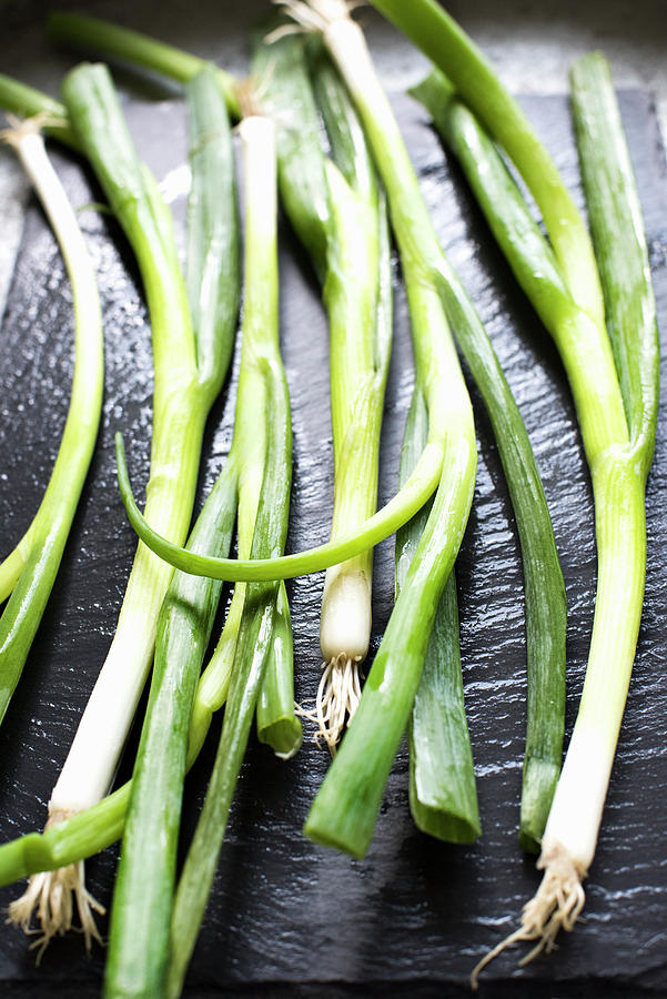 Still Life Of Raw Spring Onions Digital Art by Magdalena Niemczyk ...