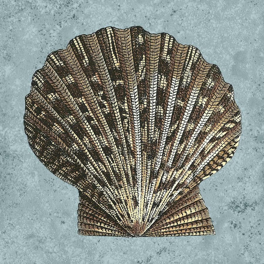 Stonewashed Shells Iv Painting by Vision Studio - Fine Art America