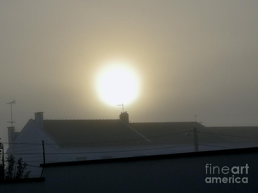 Sun Diffusion Photograph by William Ahlberg - Fine Art America