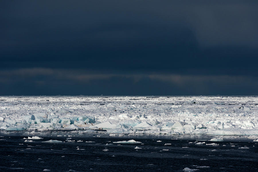 Sunlit Ice Floe Seascape, Erik Eriksenstretet Strait Separating Kong ...
