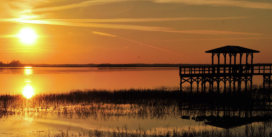 Sunset At The Twin Oaks Conservation Area Near Kissimmee Florida Photograph By Cavan Images