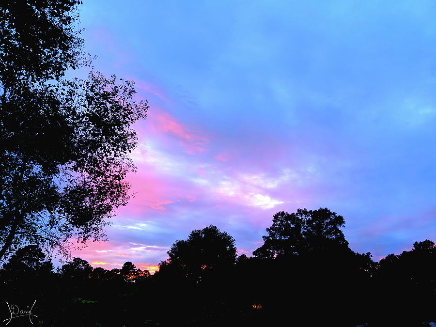 Sunset behind the tree line Photograph by Danielle Hepler - Fine Art ...