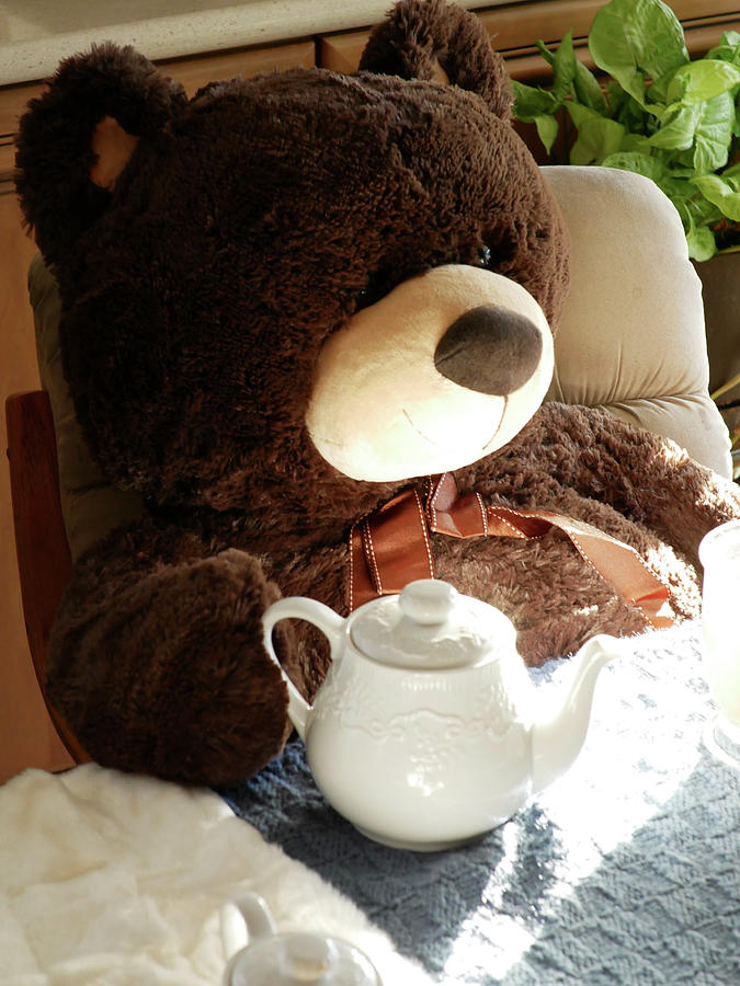 Tea Bear Photograph by Scott Johnson - Fine Art America