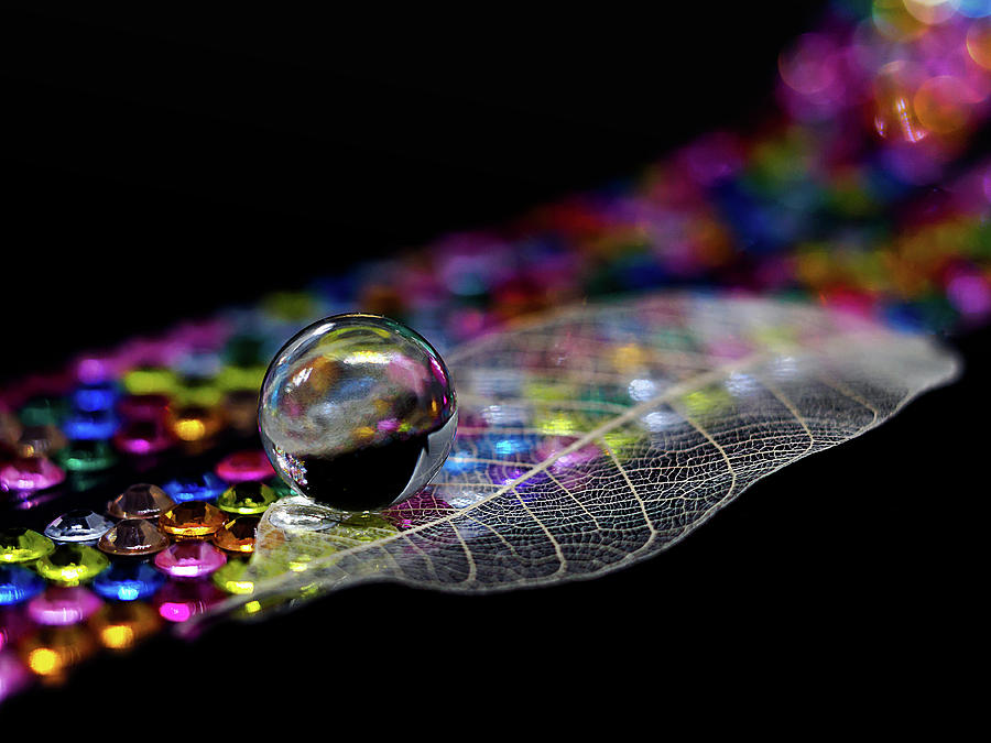 Textures, Colors and Transparencies Photograph by Luis Vasconcelos ...