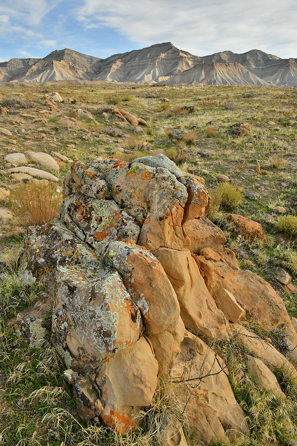 The Book Cliff Desert Photograph by Ray Mathis - Fine Art America