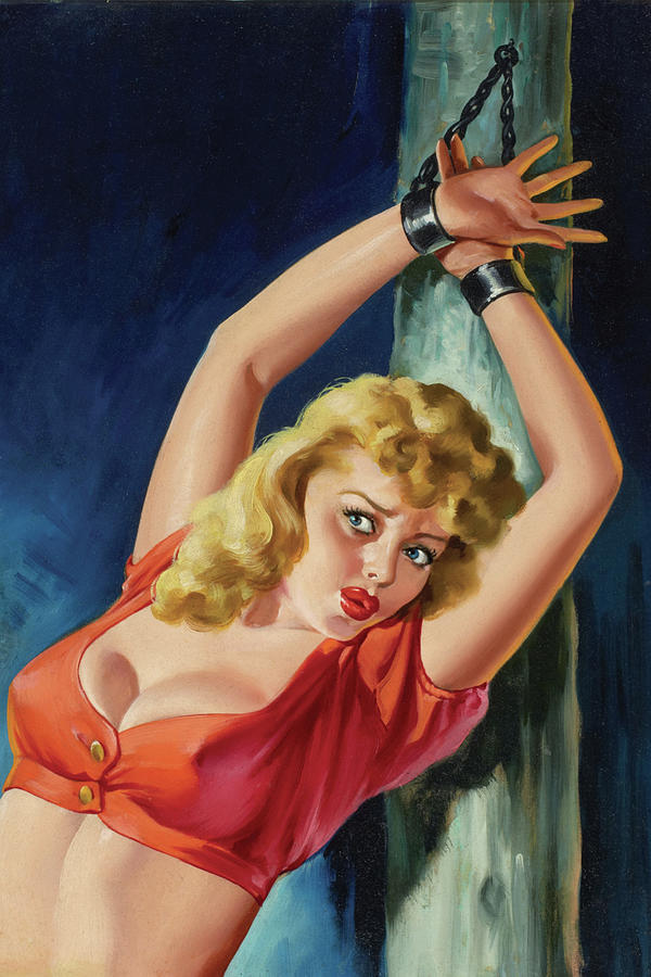 The Captive Painting by Peter Driben - Fine Art America