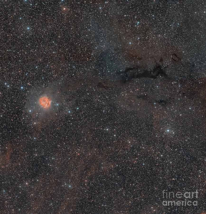 The Cocoon Nebula Photograph by Davide De Martin/science Photo Library - Pixels