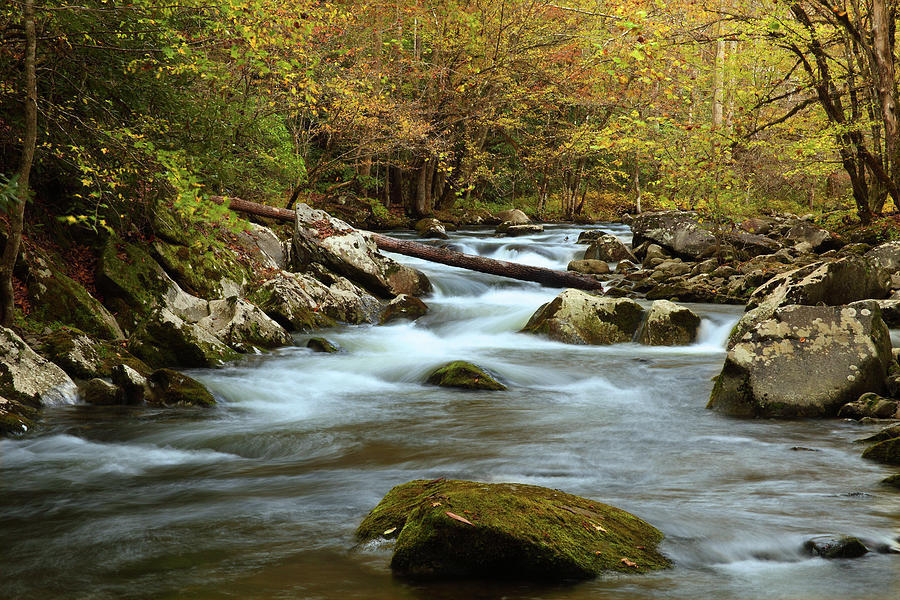 The Little River-2 Photograph by Harold Hull - Pixels