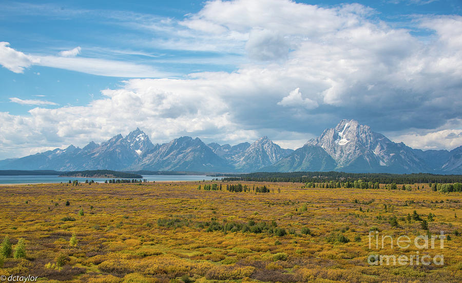 The Long View Photograph by David Taylor - Pixels