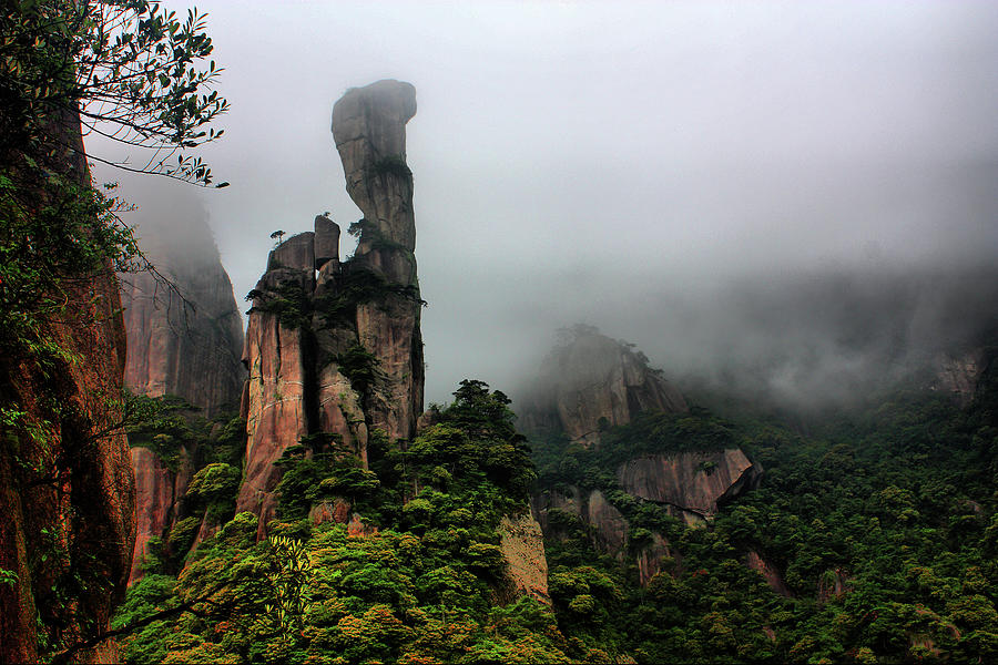 The Python Coming Out Of The Mountain by Andy Qiang