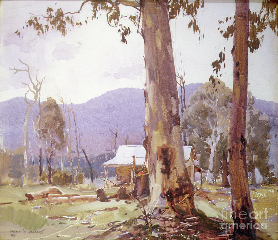 The Settler's Home In Kiewa Valley, Victoria, 1931 Painting by Harold Brocklebank Herbert - Fine ...
