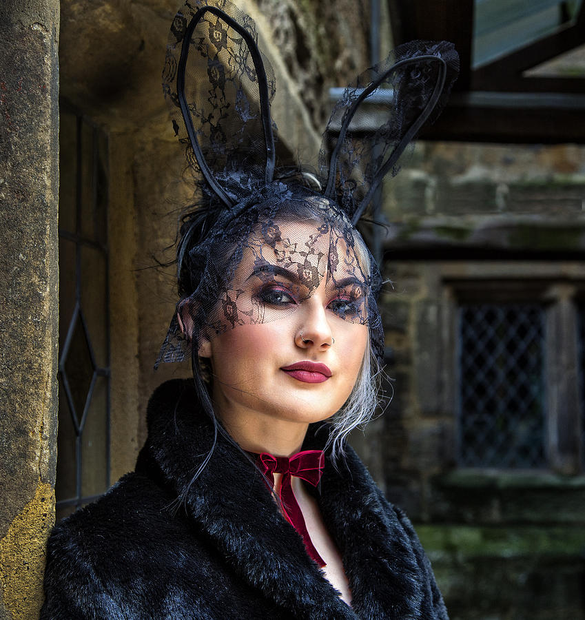 The Strange Rabbit Photograph by Daniel Springgay - Fine Art America