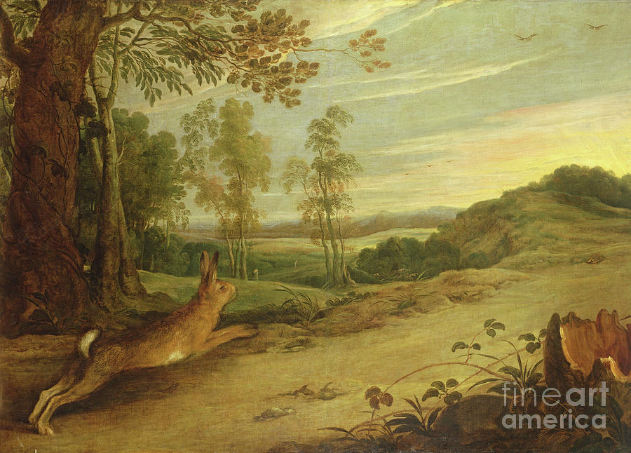 The Tortoise And The Hare, From Aesop's 'fables' Painting by Jan ...