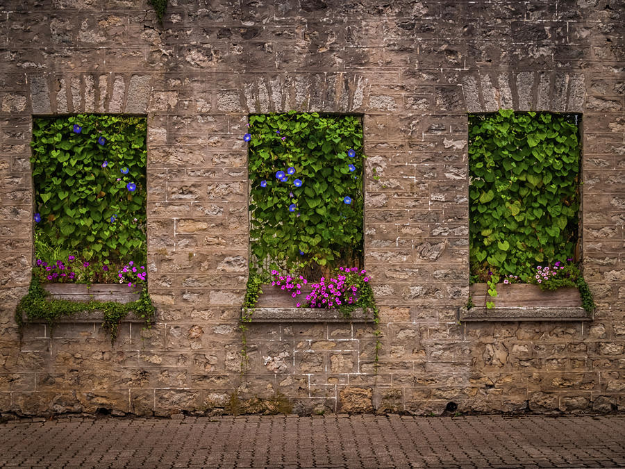 Three Windows Photograph by David Hook - Fine Art America