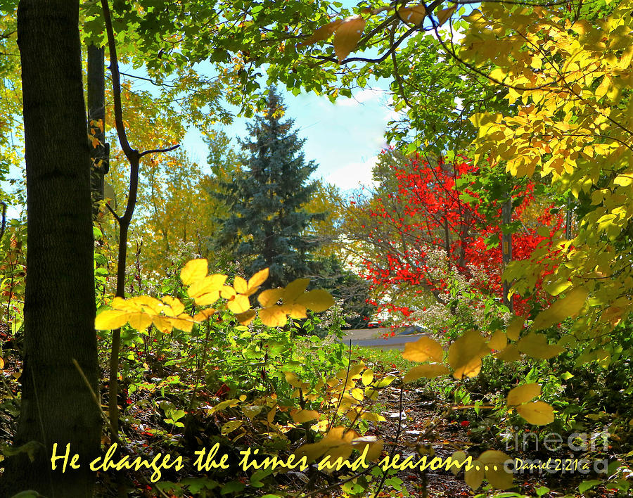 Times and seasons scripture Photograph by Louise Lavallee | Fine Art ...