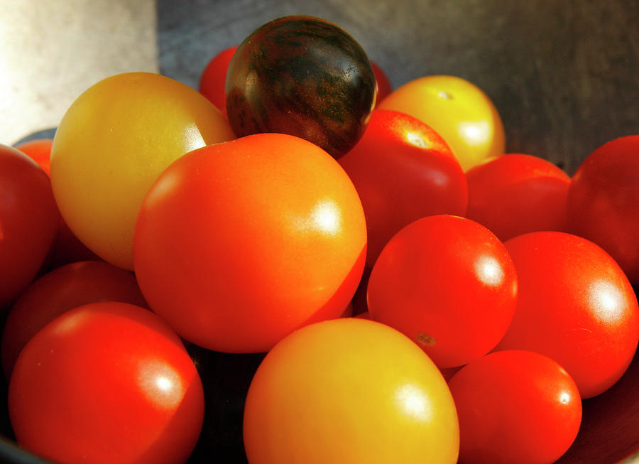 Tomatoes of Different Colors Are Seen Photograph by Brian Snyder - Fine ...